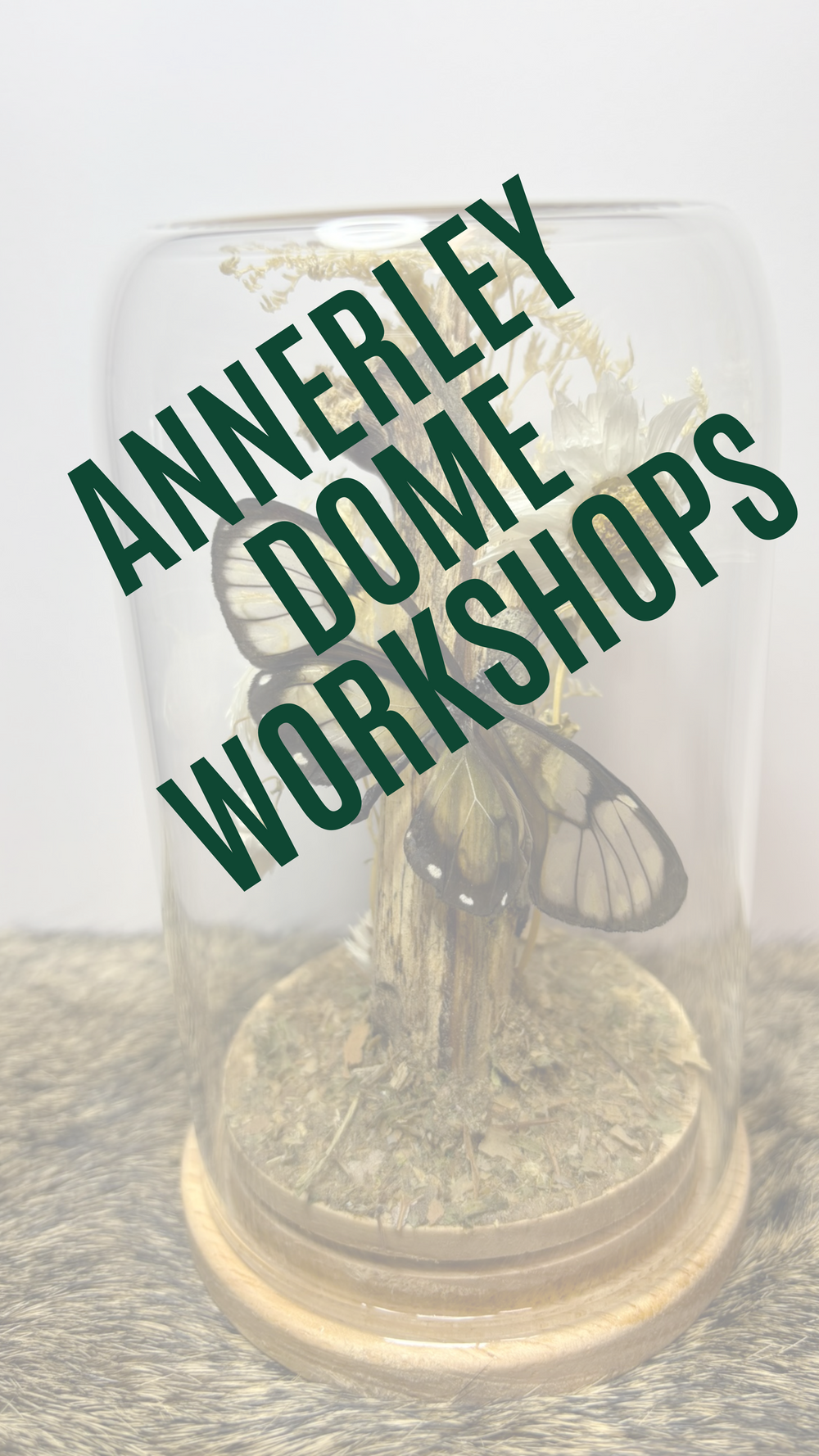 THE WINGED WONDERLAND – The Winged Wonderland